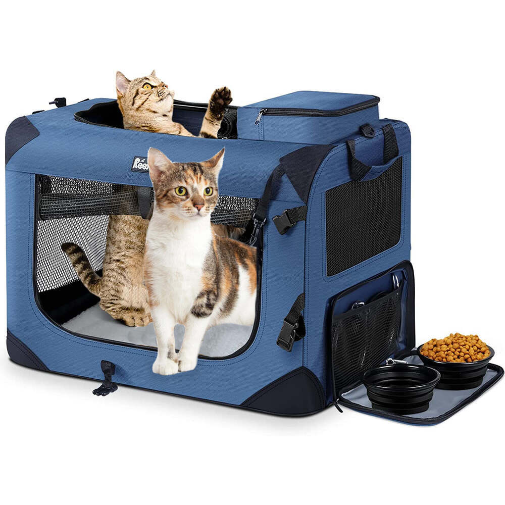Extra Large Cat Carrier (Perfect For Vet Visits) – CatPrestige.com