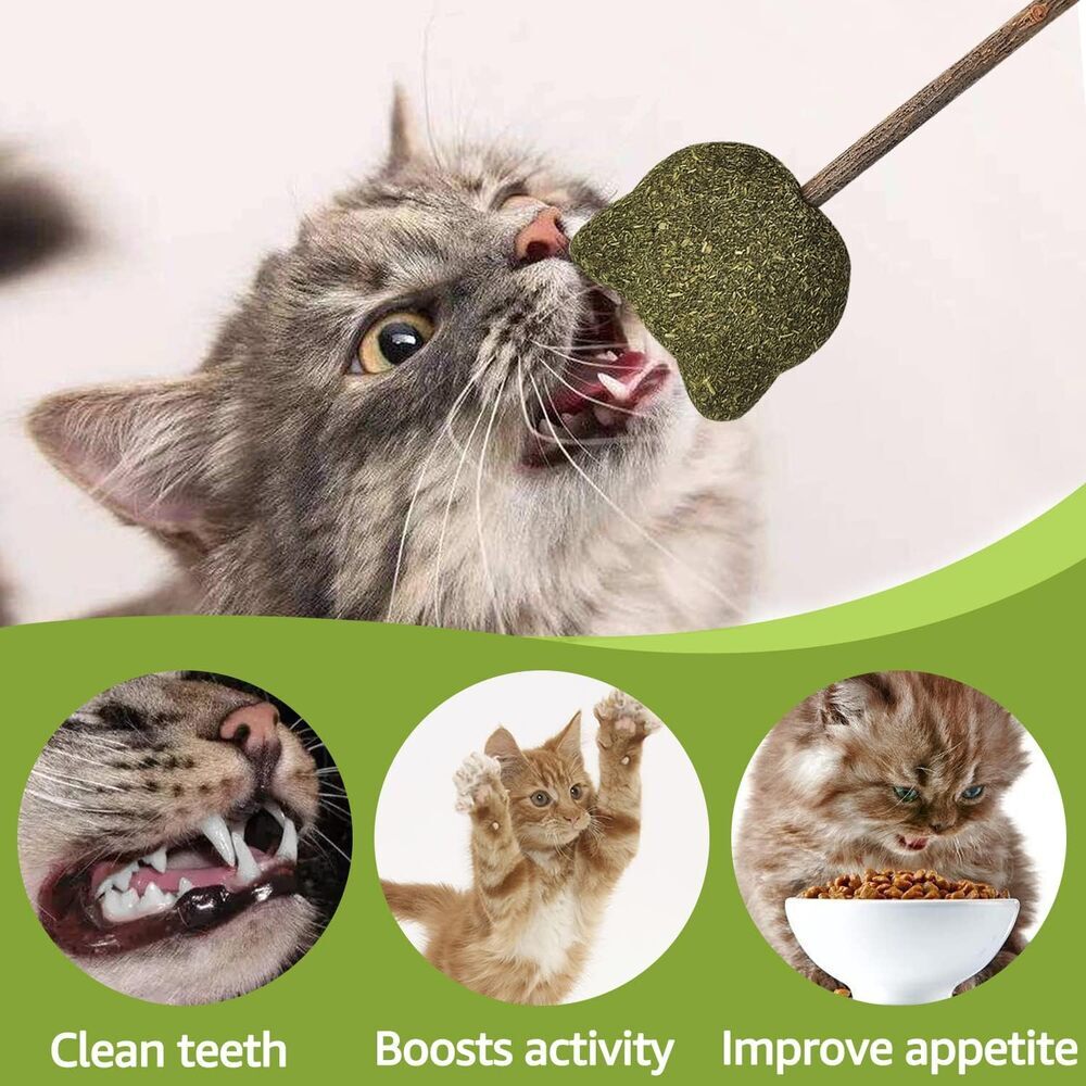 12-Pack Catnip & Silvervine Toys for Cats – Chew Sticks, Balls, Mice ...